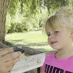 Dale Martin Thompson (1950 - 2024) - ForeverMissed.com Online Memorials