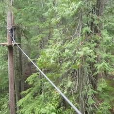 Monica Charise Davis (1985 - 2020) - ForeverMissed.com Online Memorials