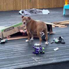 Victor Douglas Traversy (1991 - 2024) - ForeverMissed.com Online Memorials